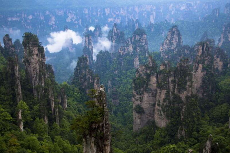 Marvelous Zhangjiajie Day Tour With National Forest Park - Who Will Benefit Most?