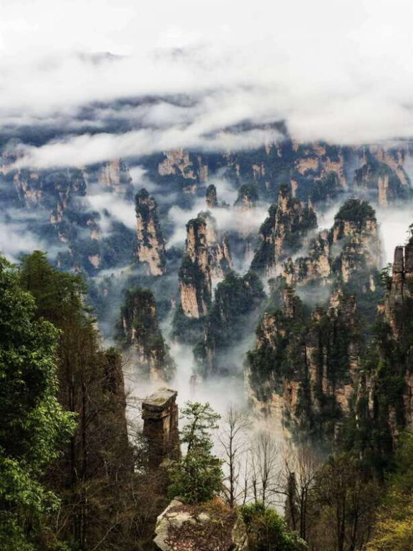 Marvelous Zhangjiajie Day Tour With National Forest Park - The Sum Up