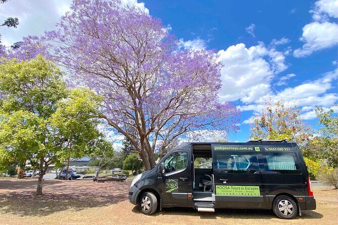 Mary Valley Tour with Mary Valley Rattler, Lunch and Kenilworth - Final Thoughts