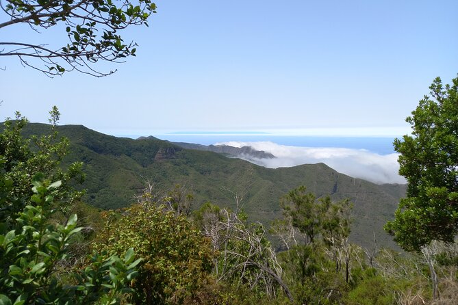 Masca Guided Hike Review: Stunning Adventure - Exploring the Laurel Forest Ecosystem