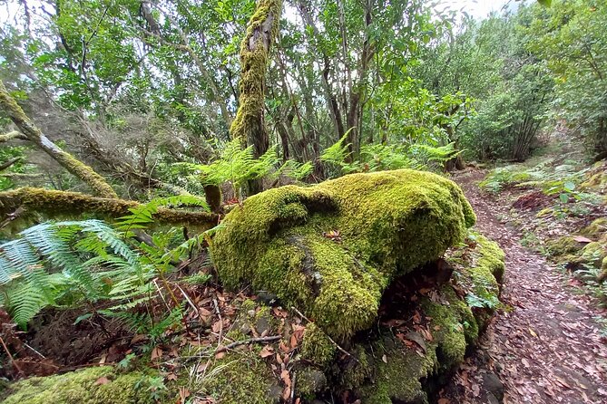 Masca Guided Hike Review: Stunning Adventure - Insights From the Knowledgeable Guide