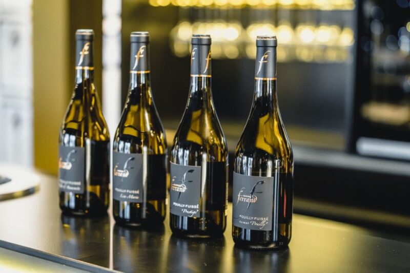 Mason: Visit and Tasting of the Estates Wines - Family Tradition