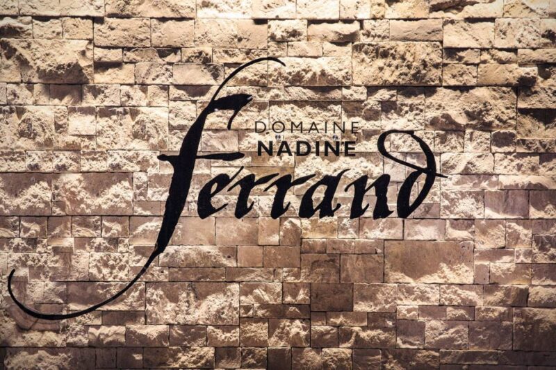 Mason: Visit and Tasting of the Estates Wines - Positive Feedback