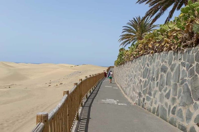 Maspalomas: 1 Hour Segway Sightseeing Tour - What to Expect During the Tour