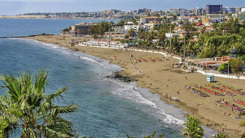 Maspalomas: 1 Hour Segway Sightseeing Tour - The Reviews: Authentic Traveller Feedback