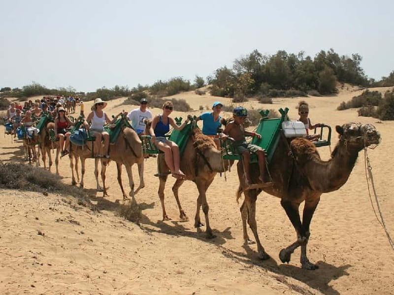 Maspalomas: 2-Seater E-Scooter Dunes Tour with Camel - Value and Practical Considerations