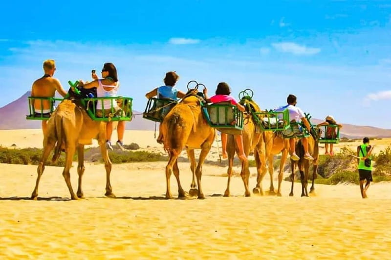 Maspalomas: 2-Seater E-Scooter Dunes Tour with Camel - The Experience Beyond the Dunes