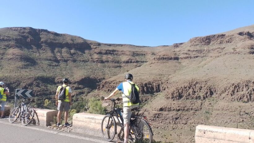 Maspalomas: Ayagaures E-Bike Mountain Tour Optional Tapas - The Practicalities: Pricing, Group Size, and What’s Included