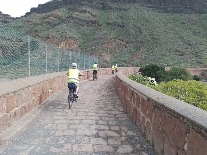 Maspalomas: Ayagaures E-Bike Mountain Tour Optional Tapas - The Ride: Comfort, Confidence, and Safety