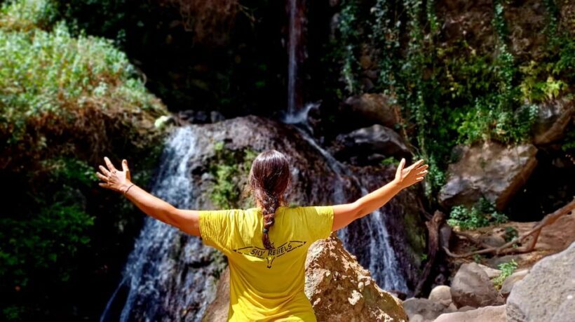 Maspalomas: Barranco de los Cernicalos Rainforest Hike - Who Should Consider This Tour?