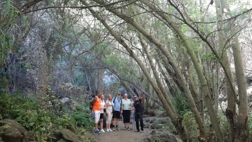 Maspalomas: Barranco de los Cernicalos Rainforest Hike - Final Words