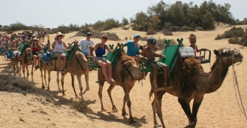 Maspalomas: Guided Camel Ride in the Maspalomas Sand Dunes - What to Expect on Your Camel Ride in Maspalomas