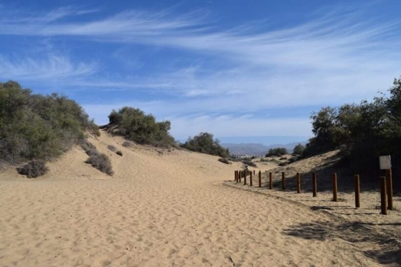 Maspalomas: Guided Camel Ride in the Maspalomas Sand Dunes - The Experience in Context