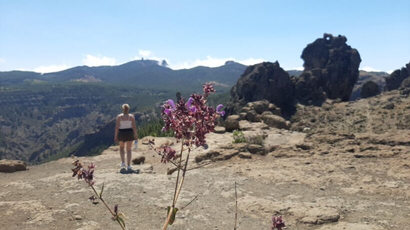 Maspalomas: Hiking to Roque Nublo with 2 authorised guides - Practical Tips for Travelers