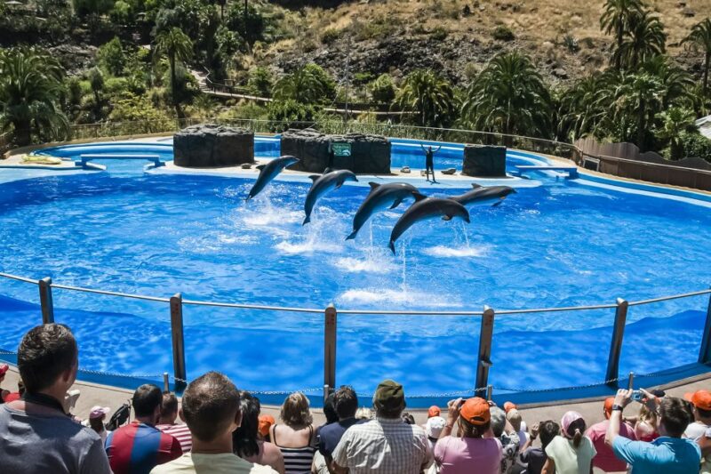 Maspalomas: Palmitos Park Ticket with Dolphin and Bird Shows - What Do Visitors Say?