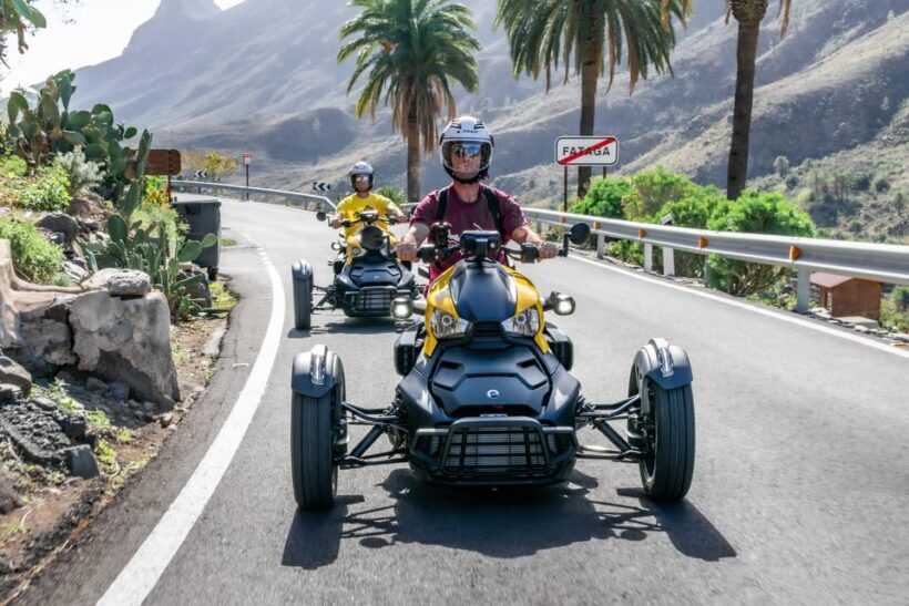 Maspalomas: Ryker Moto Tour to Fataga (Mountain buggy) - Practical Tips for Future Participants