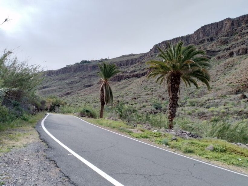 Maspalomas: Southern Coast E-Bike Tour Option Tapas Tasting - Practical Details and Considerations