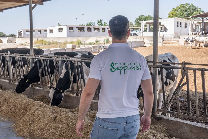 Masseria Seppunisi Tour - Mozzarella and Burrata Experience - Participant Feedback