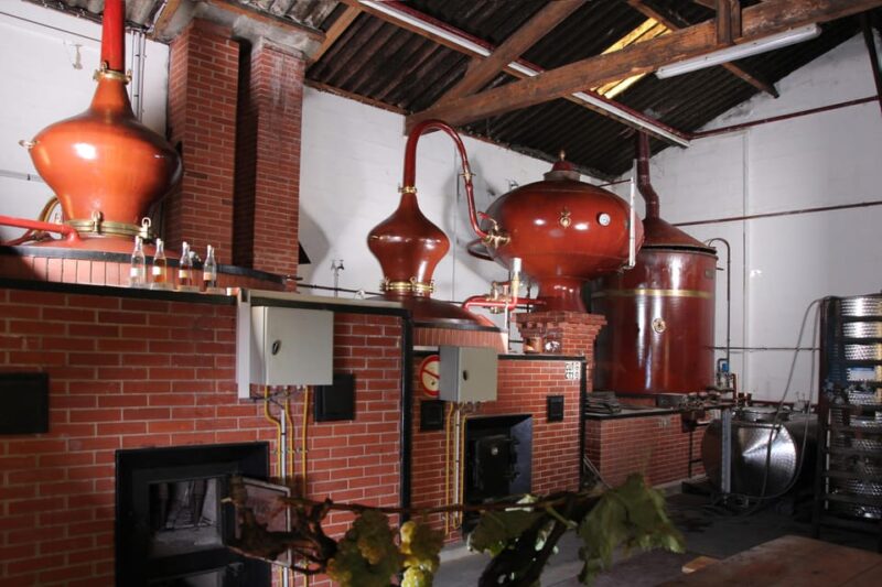 MASTERCLASS COGNAC - Since You Asked