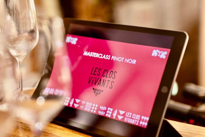 Masterclass Pinot Noir - Wine tasting in Dijon - Final Thoughts: Is It Worth It?