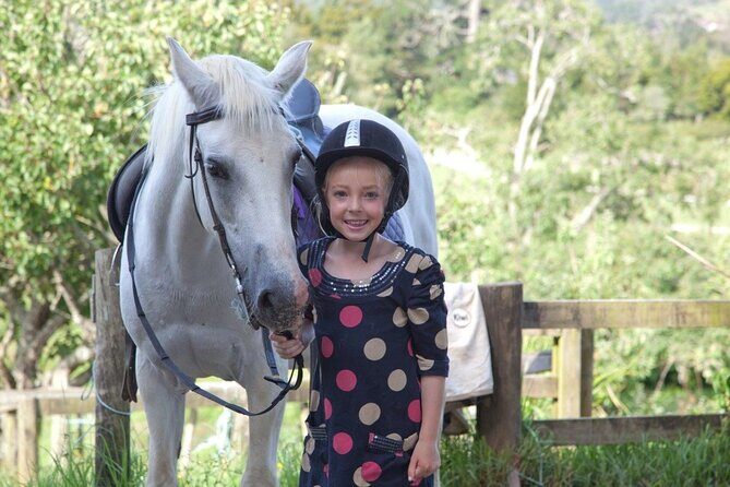 Matakana Art & Horse Riding Experience Private Tour From Auckland - Detailed Breakdown of the Itinerary