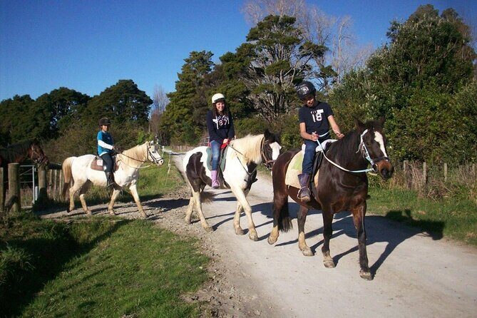 Matakana Art & Horse Riding Experience Private Tour From Auckland - Final Thoughts
