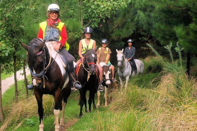 Matakana Art & Horse Riding Experience Private Tour From Auckland - Frequently Asked Questions