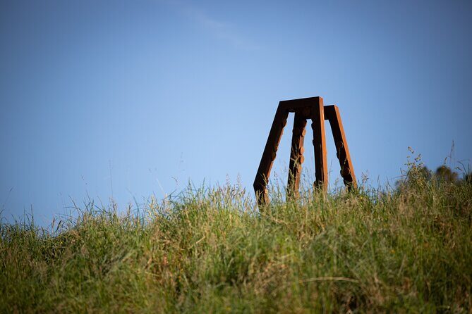 Matakana Art & Vineyard Experience incl. Lunch & Wine Tasting Tour From Auckland - What Makes This Tour Stand Out?