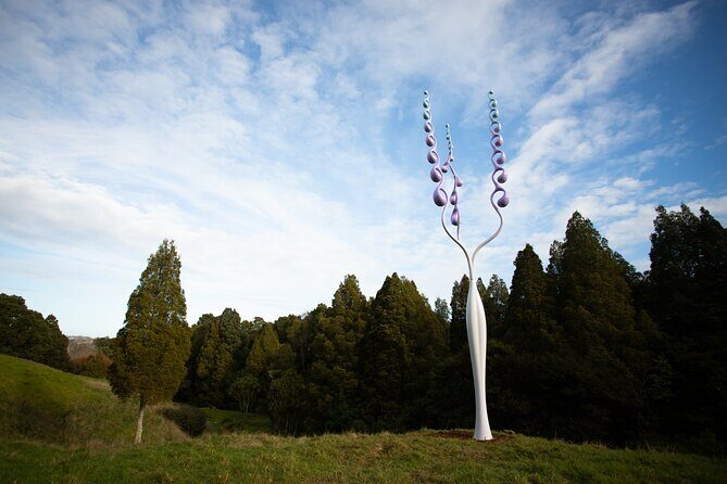 Matakana Art & Vineyard Experience incl. Lunch & Wine Tasting Tour From Auckland - FAQs