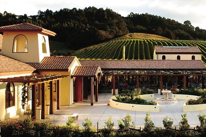 Matakana Riverside Market, Beaches and Winery Tour from Auckland - Practical Details and What You Should Know