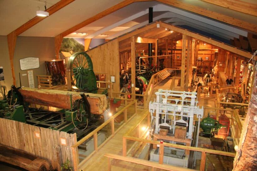 Matakohe: The Kauri Museum Entry Ticket - Practical Details and Tips