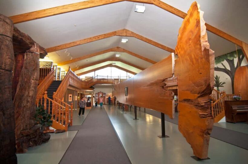 Matakohe: The Kauri Museum Entry Ticket - Who Will Love the Kauri Museum?