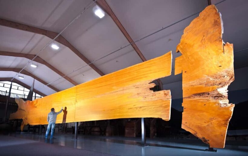 Matakohe: The Kauri Museum Entry Ticket - FAQ