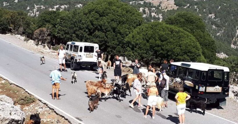 Matala Agiofarago Gorge Safari Tour - Exploring the Matala Agiofarago Gorge Safari Tour: A Practical Guide to Crete’s Authentic Charm