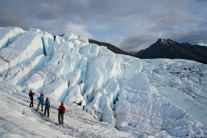 Matanuska Glacier Tour - Authentic Feedback and Insights