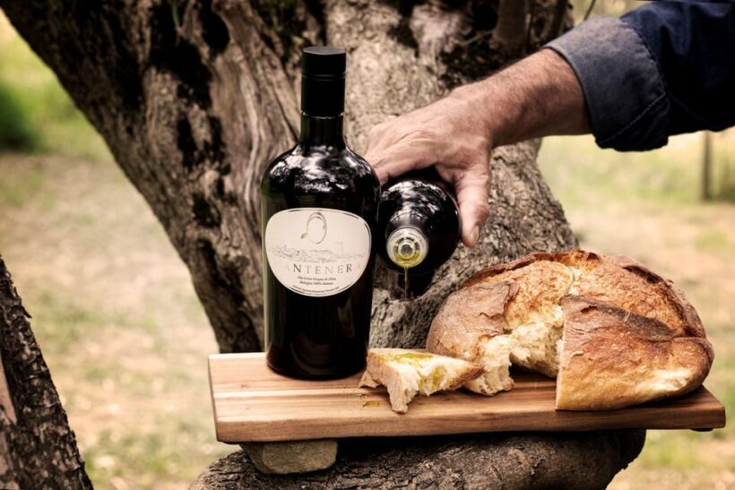 Matera: Aperitif Truffles and Champagne under the olive tree - An Authentic Taste of Basilicata’s Natural and Culinary Richness