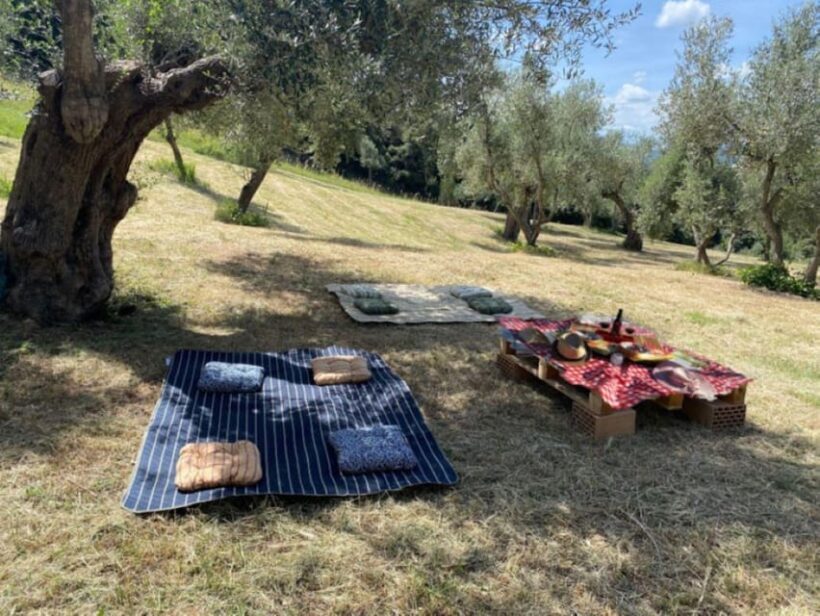 Matera: Pic-Nic under the Centuries-Old Olive Trees - Key Points