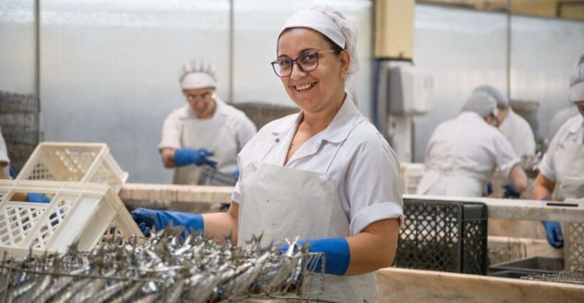 Matosinhos: Conservas Pinhais Factory Tour - What to Expect from the Conservas Pinhais Factory Tour