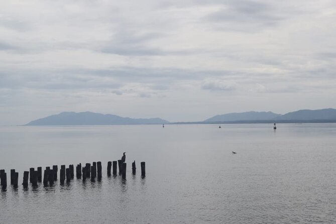 Matsue/Izumo Taisha Shrine Full-Day Private Trip With Government-Licensed Guide - Inclusions and Exclusions