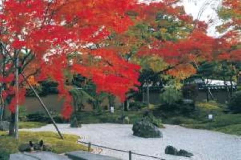 Matsushima: Autumn Half-Day Tour by Land, Sea, and Air - Practicalities and Tips