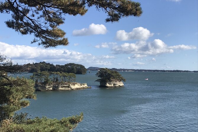 Matsushima Private Guided Tour - Inclusions