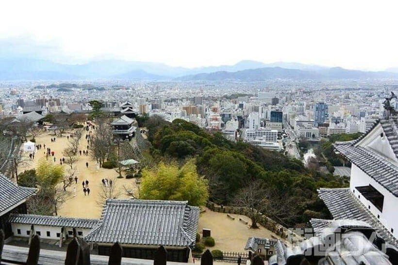 Matsuyama Private Tour with Government-Licensed Guide - Key Points