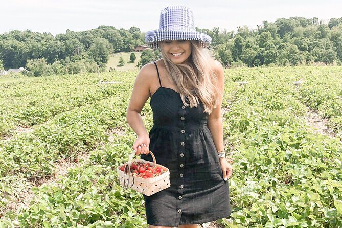 Mattituck Bike Wine Country and Fruit Orchard Tour - FAQ