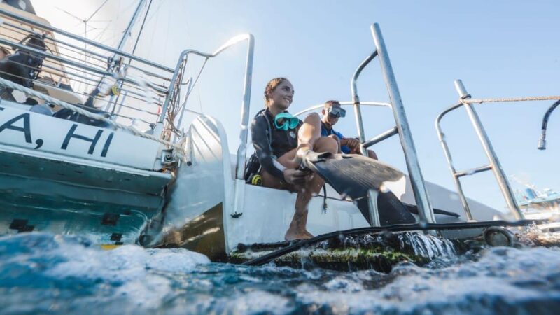 Maui: Alii Nui Turtles & Tacos Snorkel - Why This Tour Offers Good Value