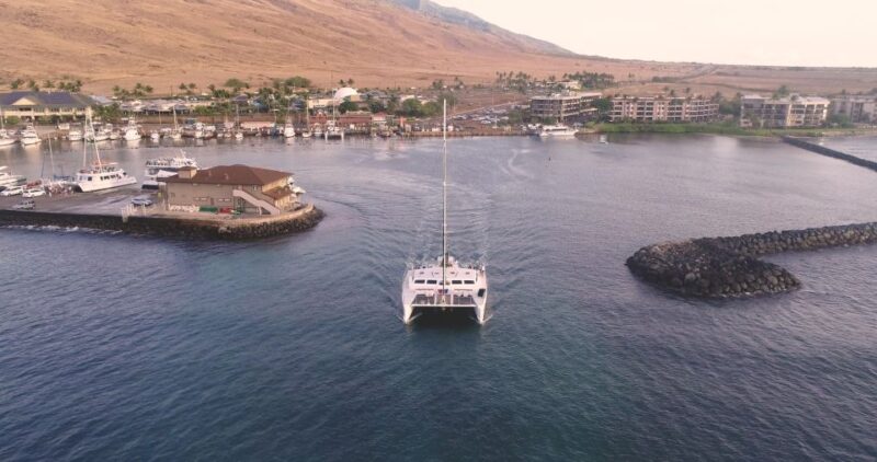 Maui: Alii Nui Whale Watch & Catamaran Sail - The Itinerary: The Day in Brief