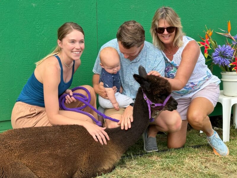 Maui: Alpaca Farm Visit with Hands-On Activities - The Sum Up