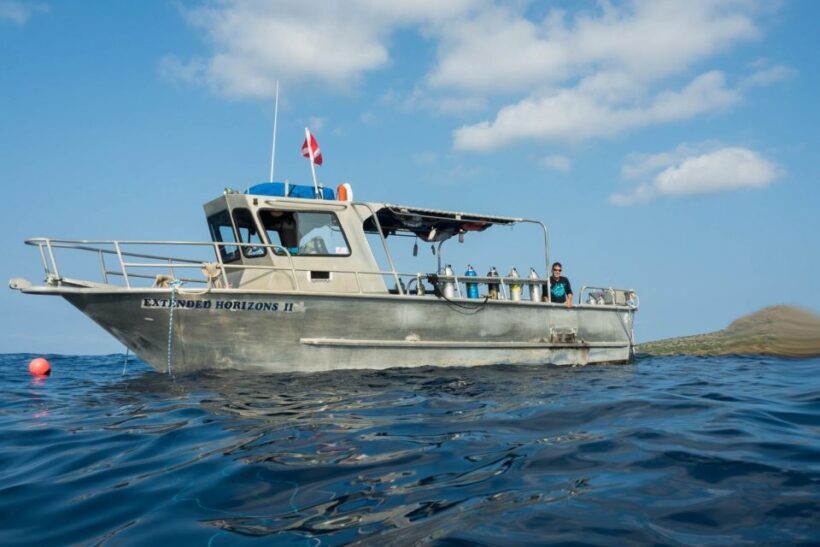 Maui: Beginner Discovery Scuba Dive Excursion from Lahaina - An Introduction to Maui’s Underwater World