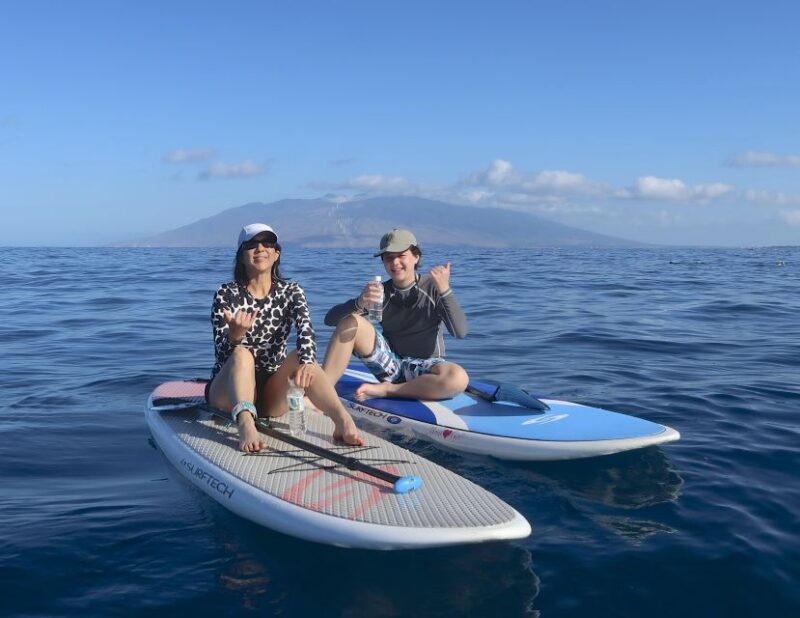 Maui: Beginner Level Private Stand-Up Paddleboard Lesson - Who Should Consider This Tour?