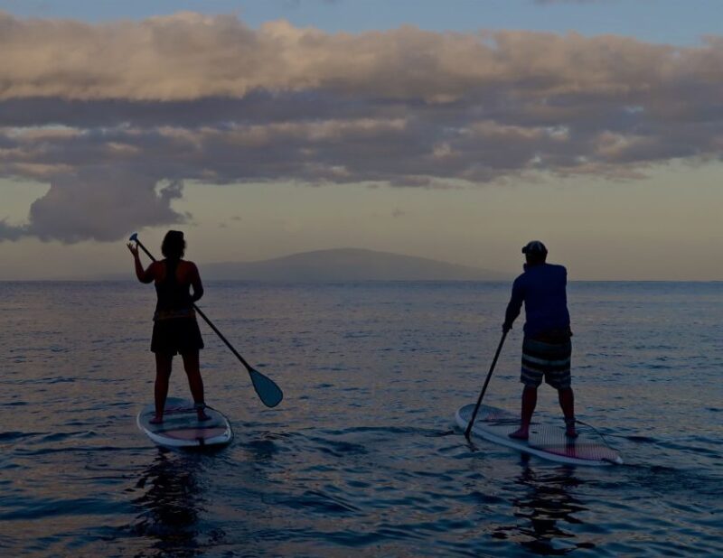Maui: Beginner Level Private Stand-Up Paddleboard Lesson - The Sum Up