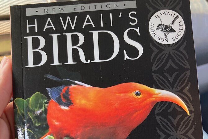 Maui Birdwatching at Maui Bird House - Who Will Love This Experience?